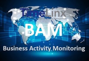 TimeLinx Talk Weekly Newsletter Edition 24 - TimeLinx Project & Service ...